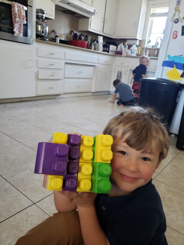 Structure by Rex – Project 2020